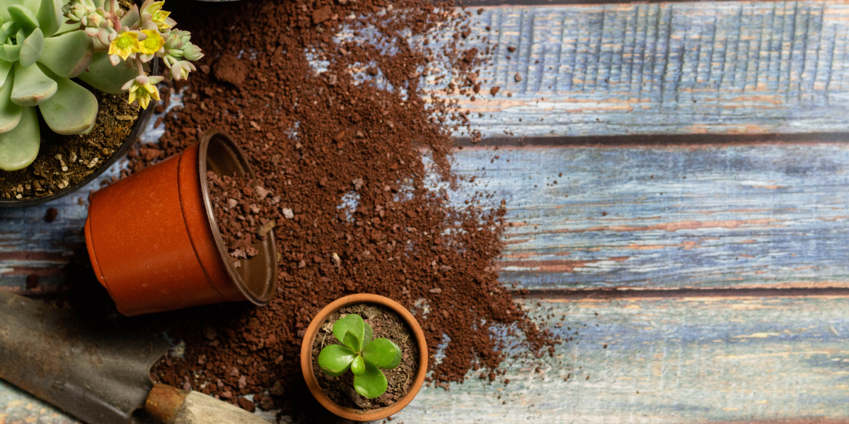 Coco Coir Mulch - Green Lanka Coco